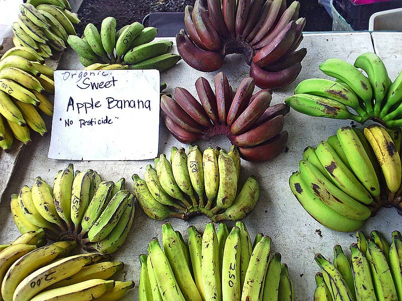 Secret Hawaii: Maku'u Farmers' Market in Puna on the Big Island ...