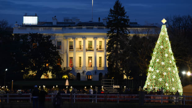 High Winds Topple the White House National Christmas Tree - WanderWisdom