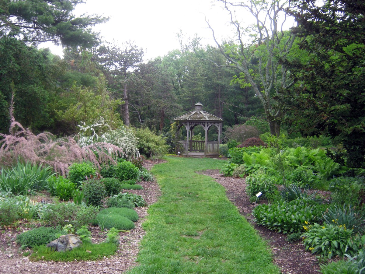 Cylburn Arboretum: Best Baltimore Victorian Mansion & Garden - WanderWisdom