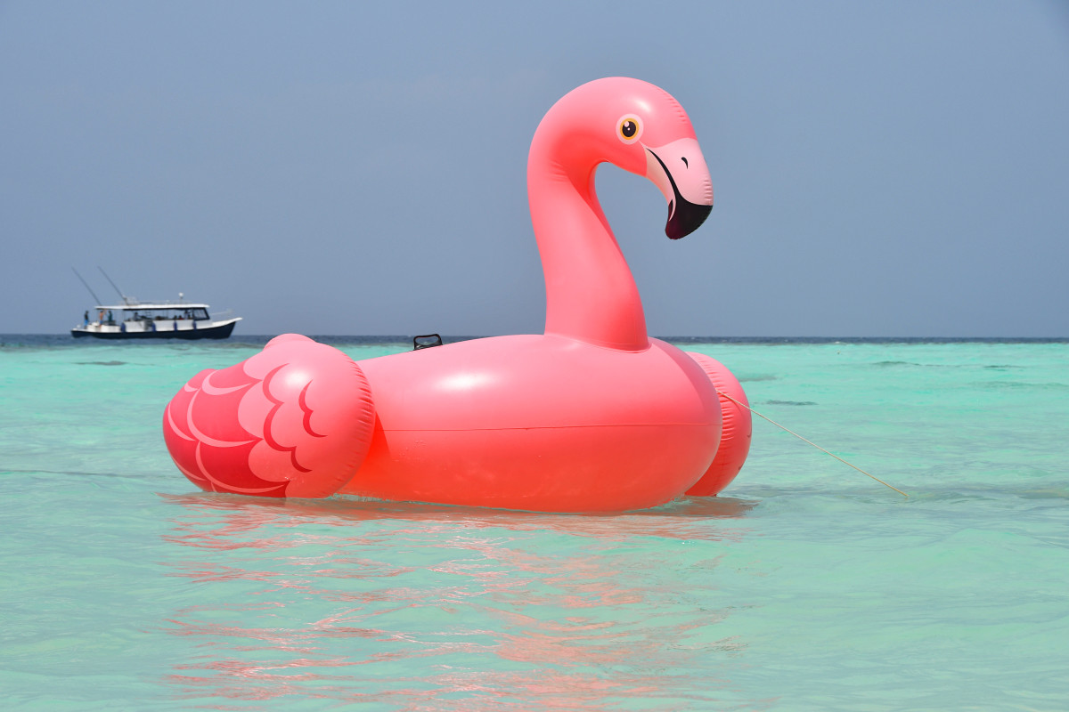 Guys in Australia Accidentally Drift Out to Sea on a Giant Flamingo ...