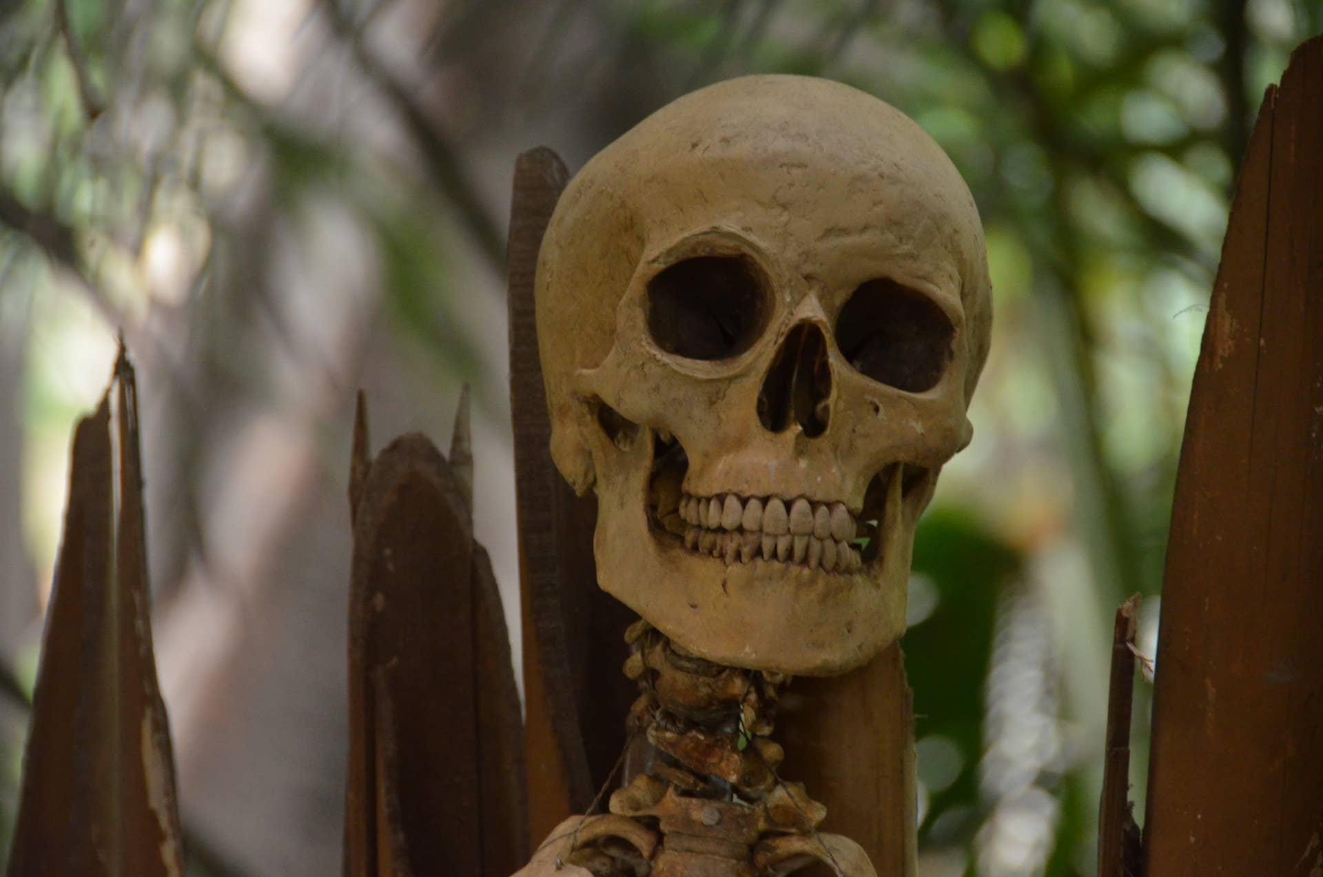 Disneyland's Most Famous Deaths - Wanderwisdom