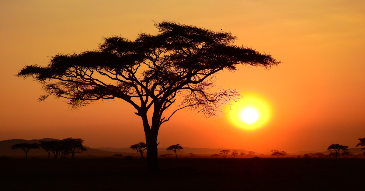Backpacker Gets Flat Tire on a Safari at the Most Inopportune Time ...