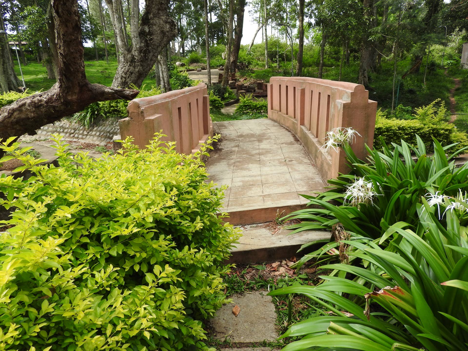 10 Beautiful Places to Visit in Yercaud - Wanderwisdom