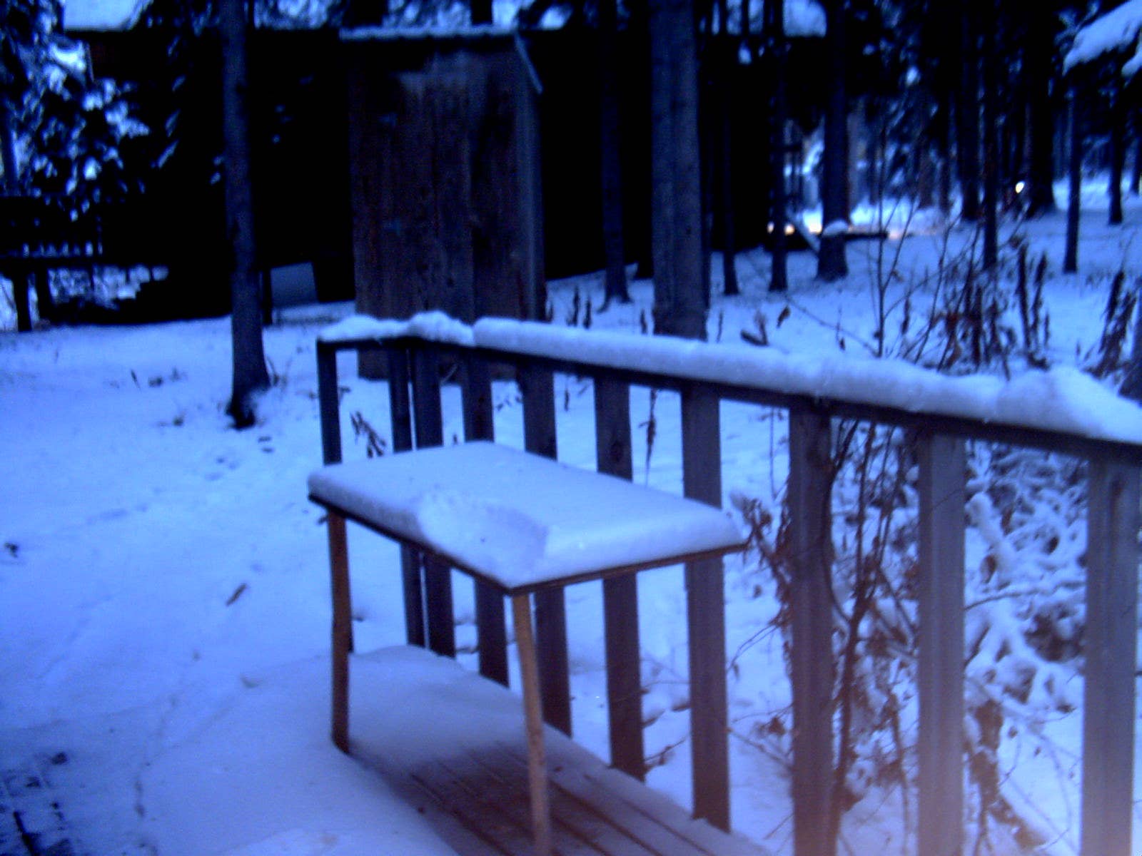 Alaska Living: A Day in the Life of a Typical Alaskan - Wanderwisdom