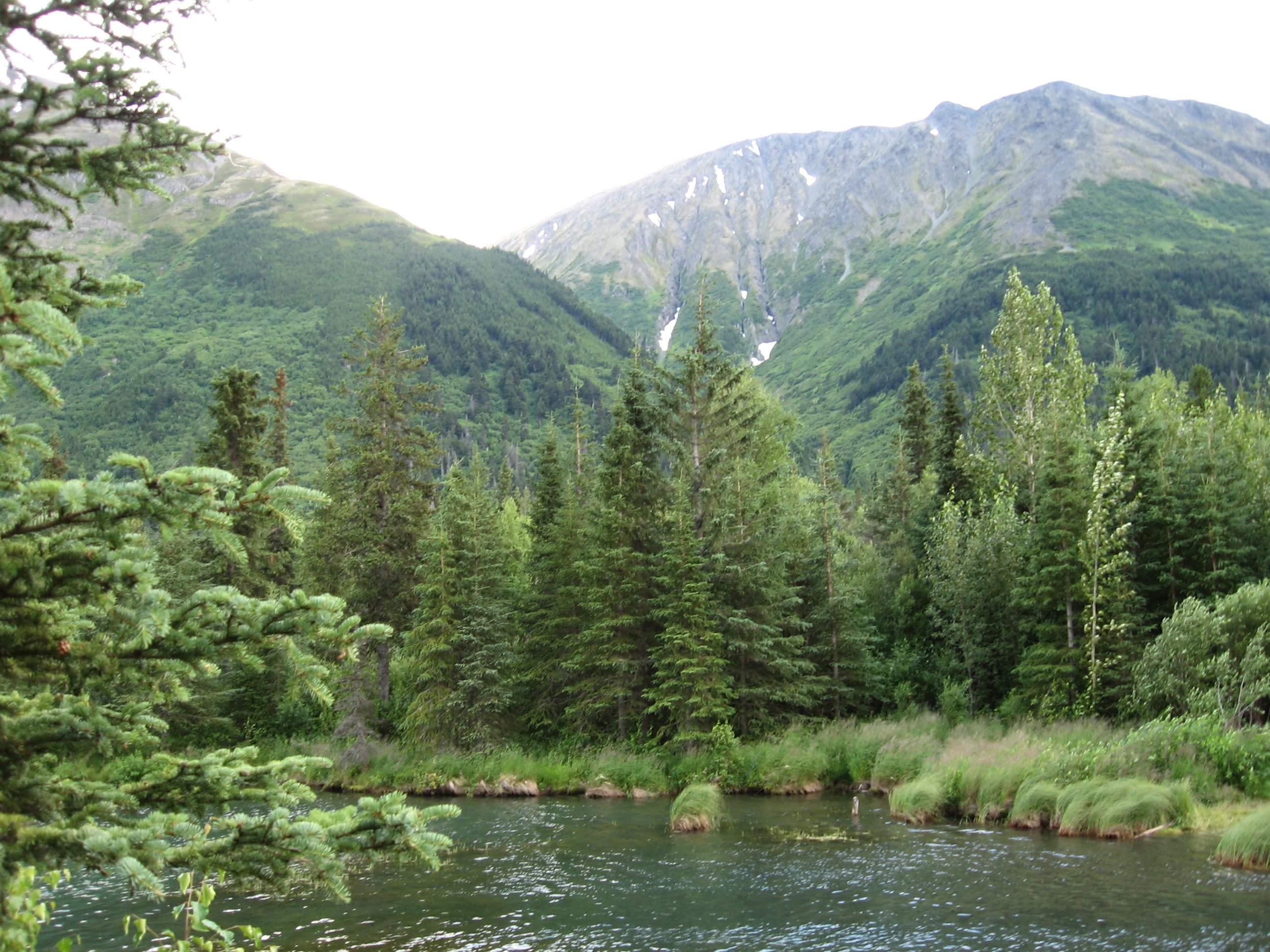 Alaska Living: A Day in the Life of a Typical Alaskan - Wanderwisdom