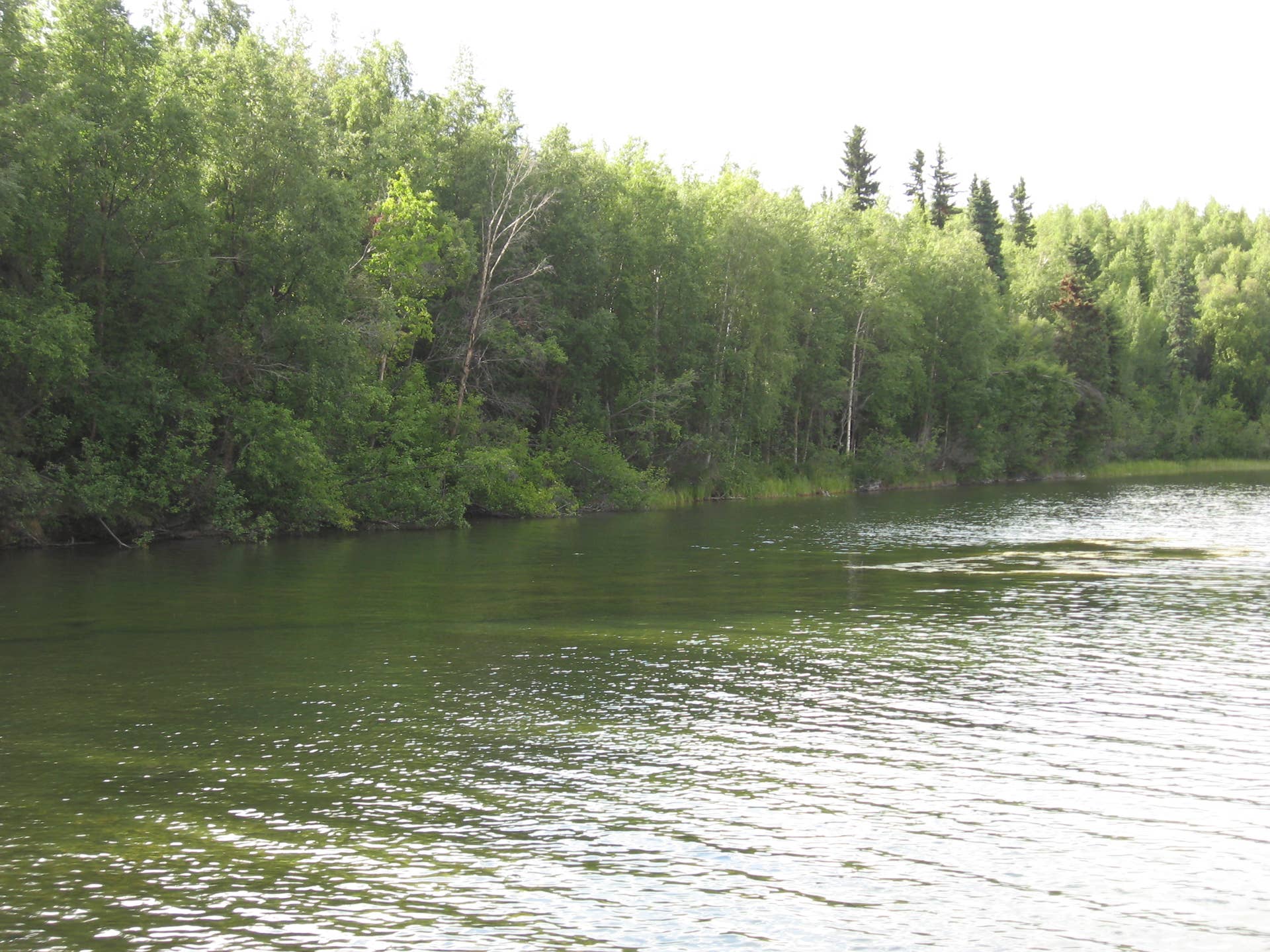 Alaska Living: A Day in the Life of a Typical Alaskan - Wanderwisdom