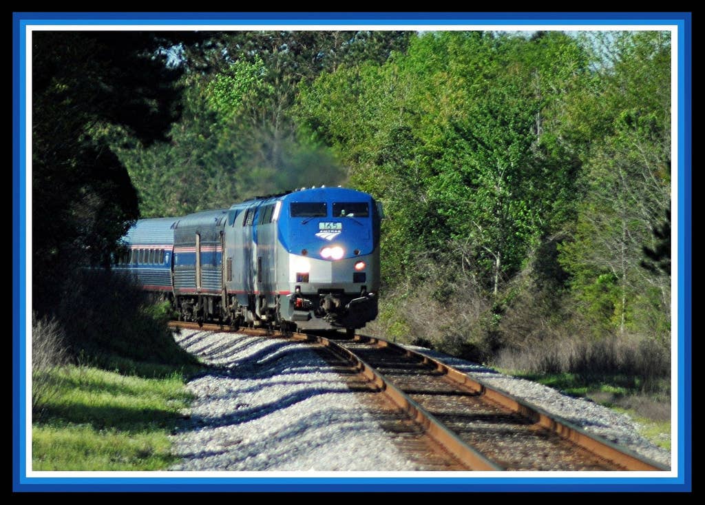 Types of Amtrak Trains - Wanderwisdom