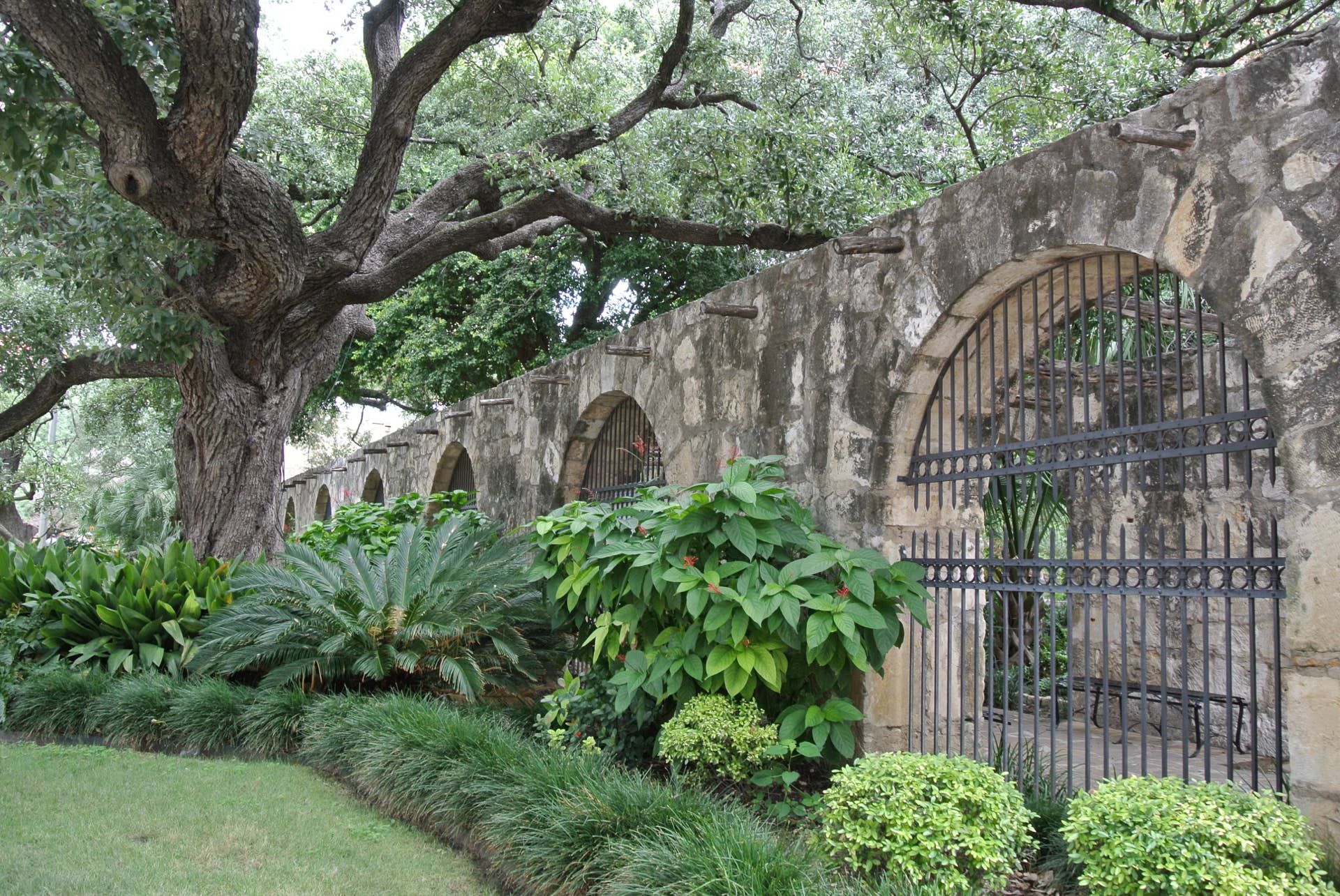 Things to Do in San Antonio, Texas: Visit the Alamo - Wanderwisdom