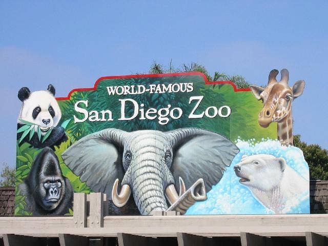 30 Interesting Facts About San Diego, California - Wanderwisdom