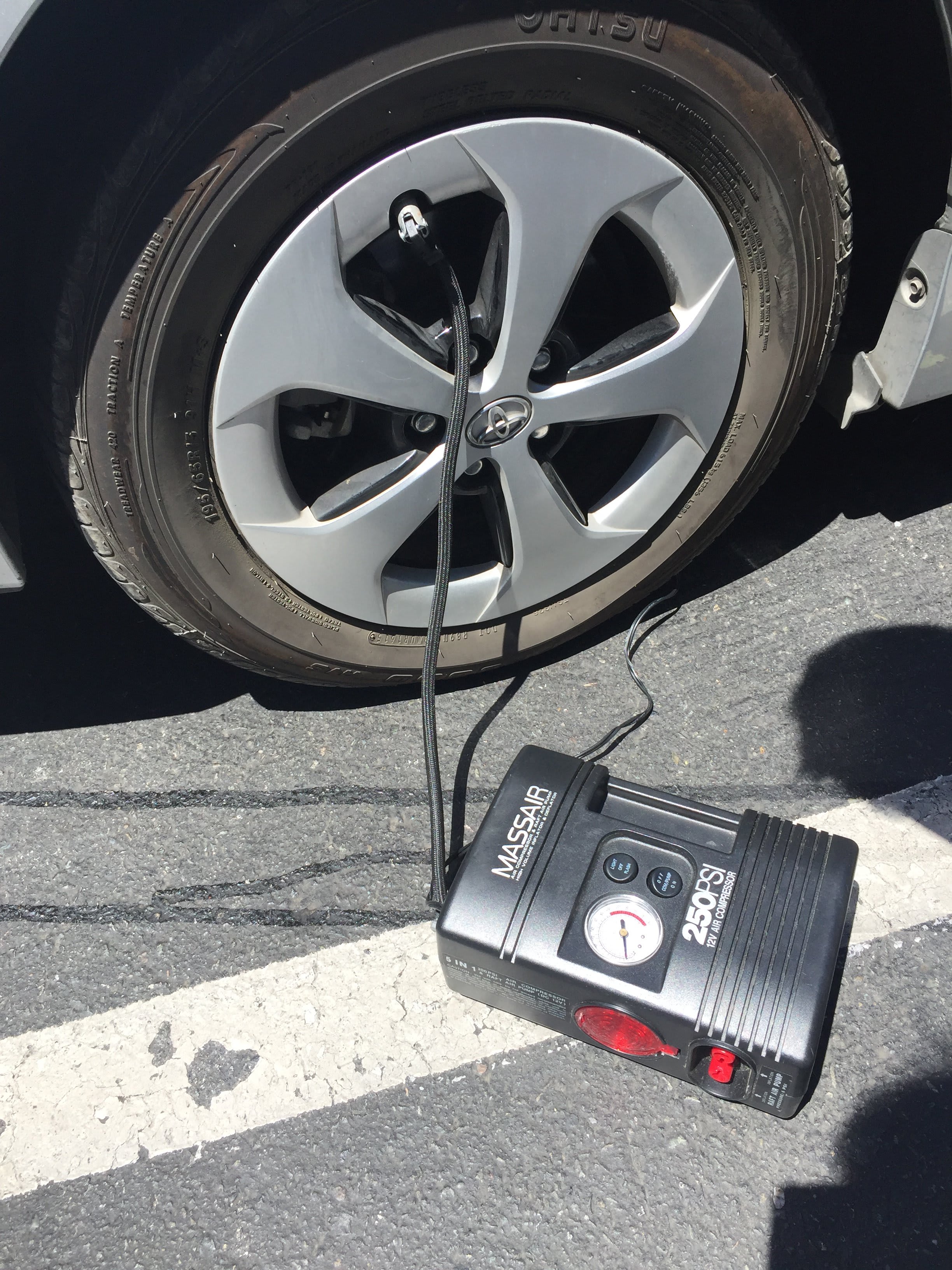 Bear Camp Road, Oregon: A Cautionary Tale - Wanderwisdom