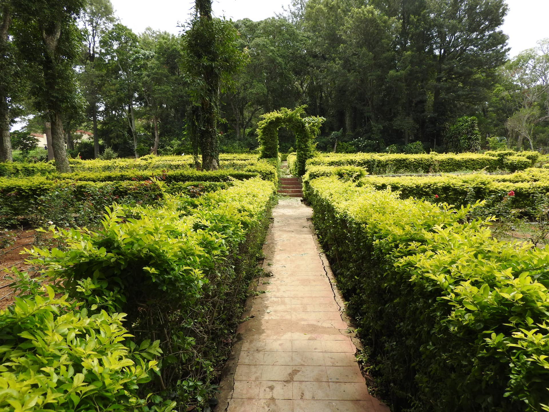 10 Beautiful Places to Visit in Yercaud - Wanderwisdom