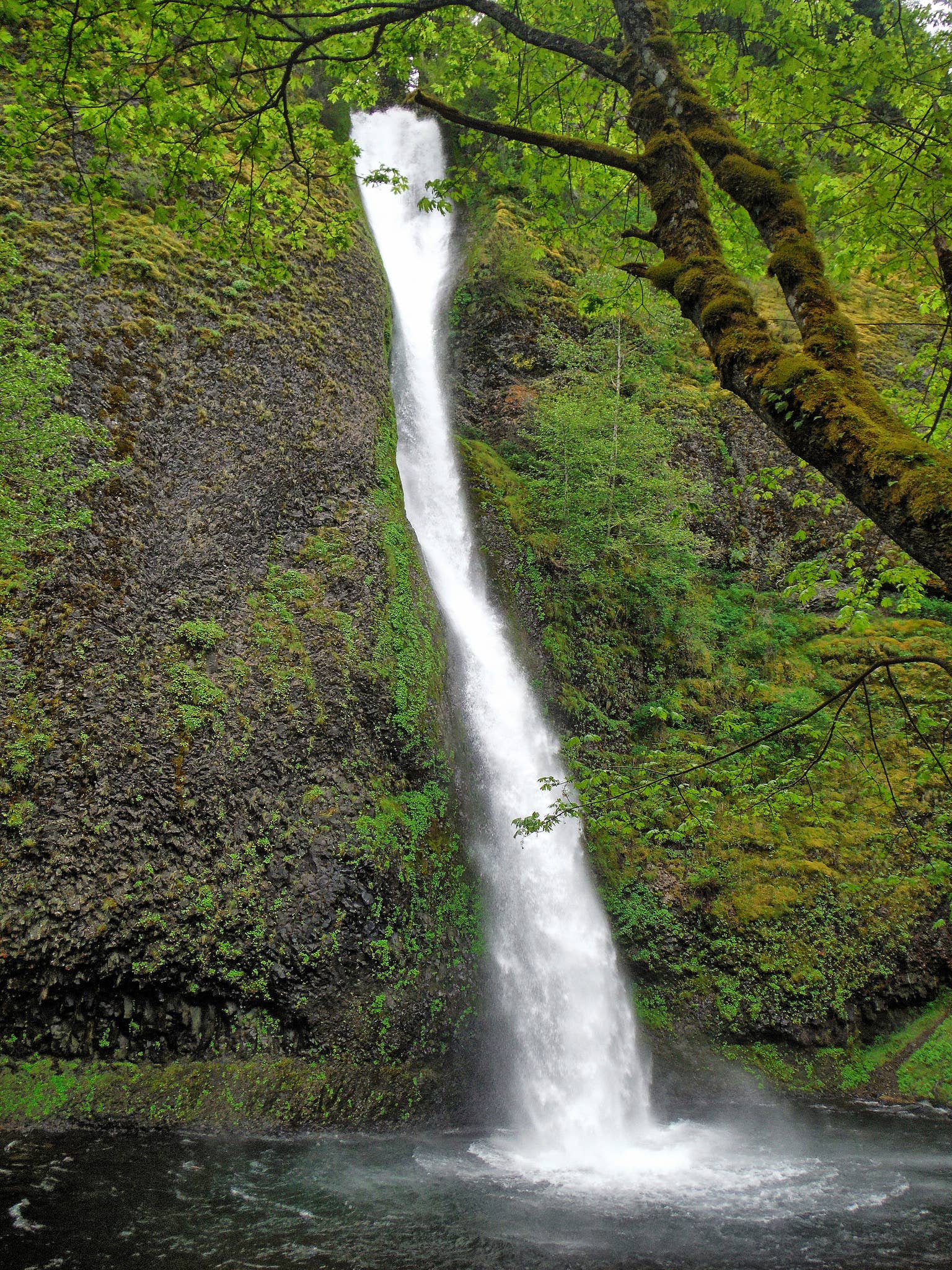 The Top 10 Things to Do in Oregon Outdoors - Wanderwisdom