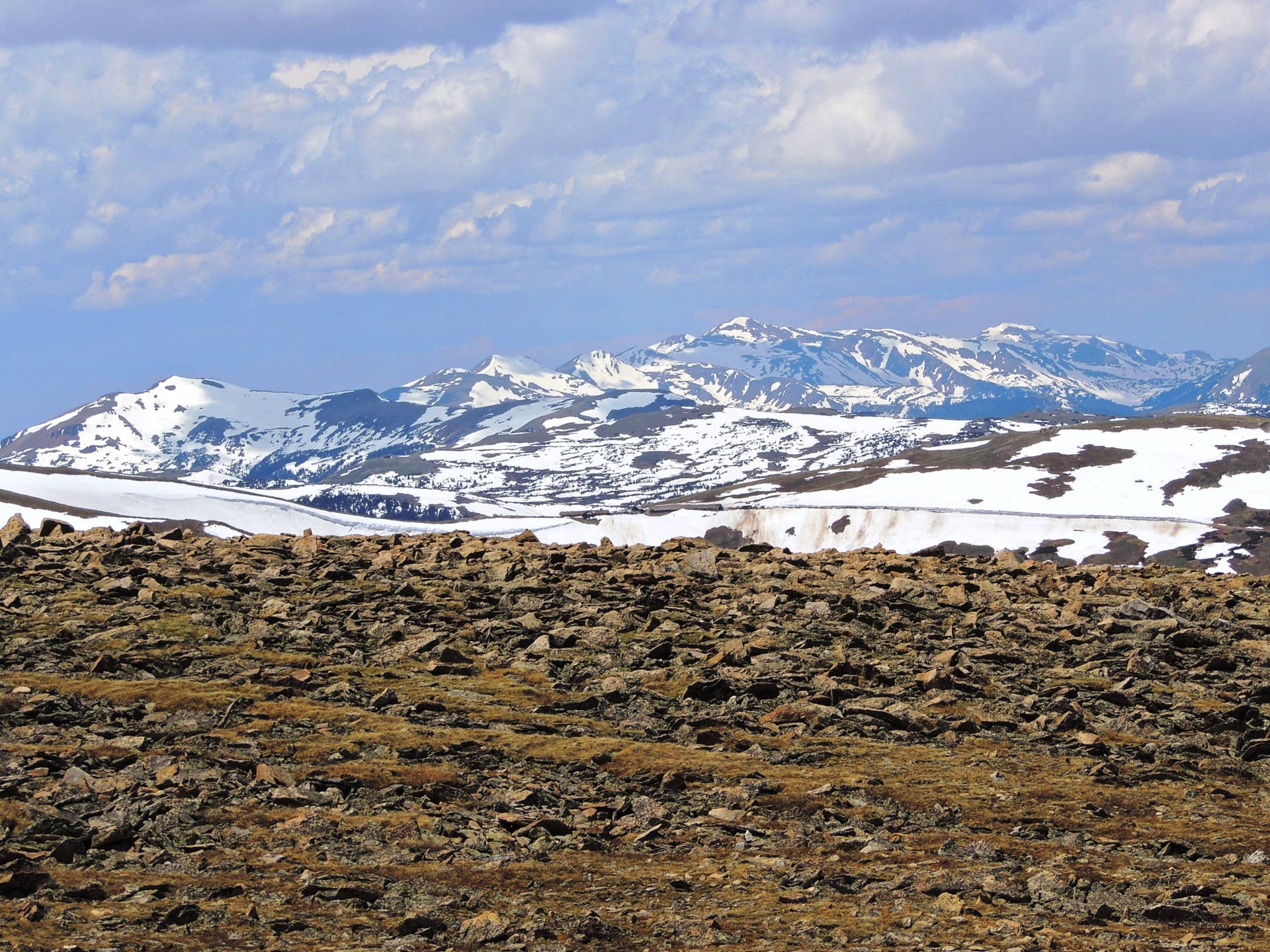 Driving Trail Ridge Road: A Must-Do Colorado Experience - Wanderwisdom