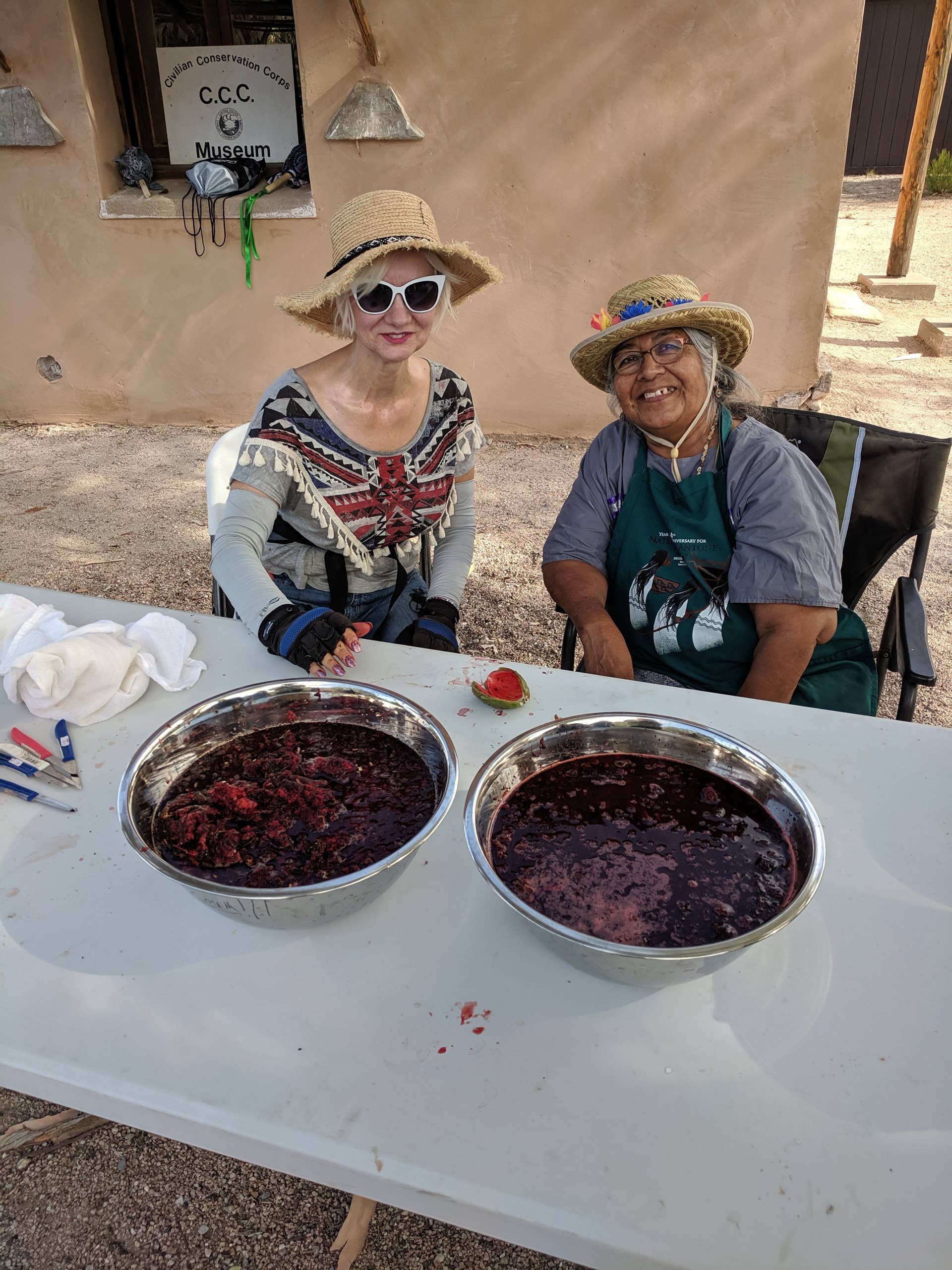 Traditional Native Saguaro Cactus Fruit Harvest Experience - Wanderwisdom