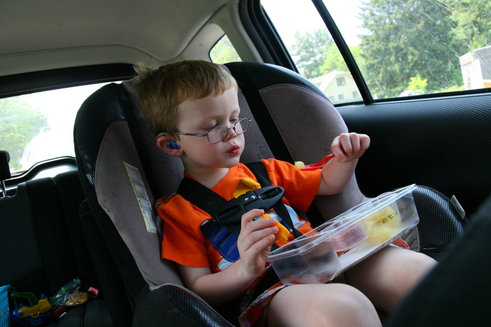 Driving From Buffalo to Disney World: Road Trip to Orlando With ...