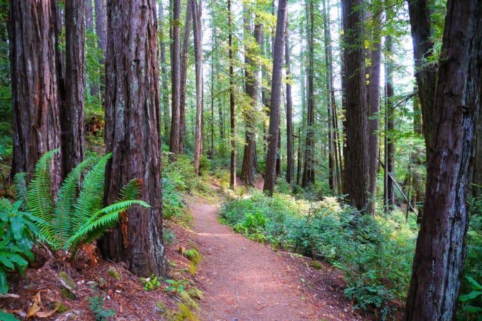 My Solo Road Trip From Florida to Oregon: 3,382 Miles - Wanderwisdom