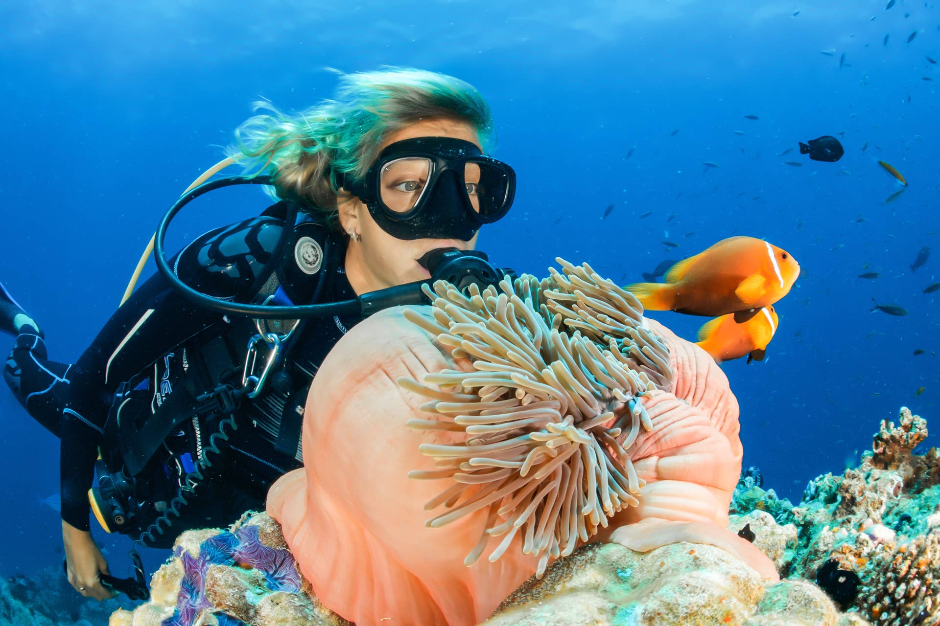 The 10 Best Dive Sites Around the World - Wanderwisdom